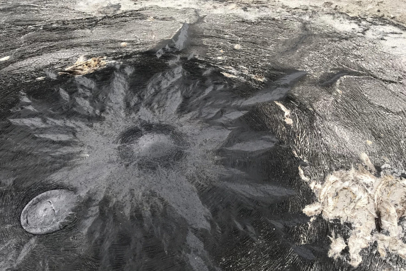 Great Salt Lake Collaborative - What oily, sticky tar seeps can teach ...