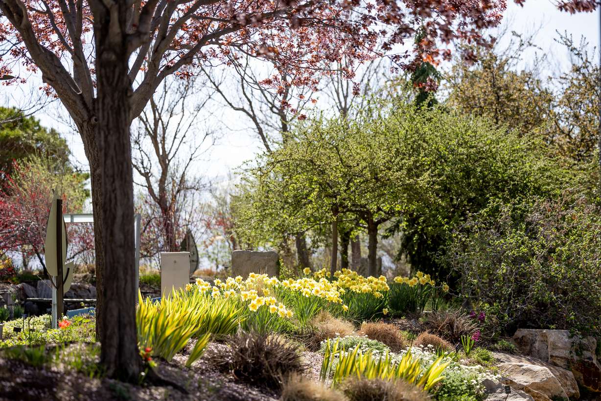 Great Salt Lake Collaborative - Utah launches statewide turf grass ...